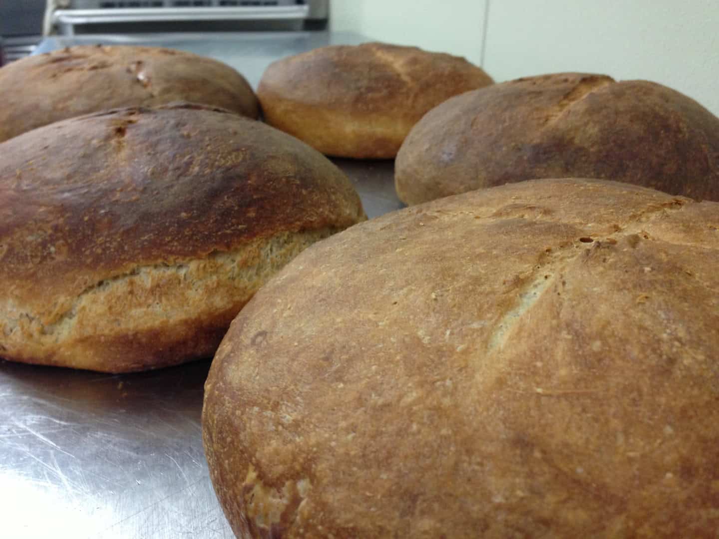 Juniper Hills Farm Hearth Bread - Sibby Barrett
